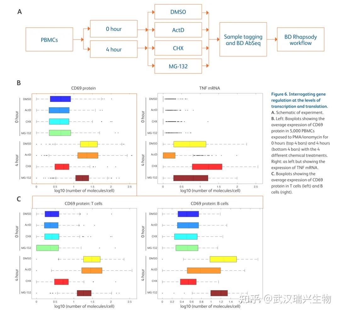 单细胞多组学研究利器 | Abseq同时检测蛋白质和mRNA表达 - 知乎