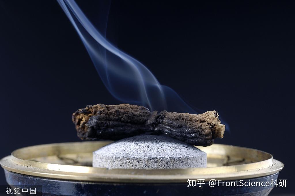 中药高清图鉴之木香 - 知乎