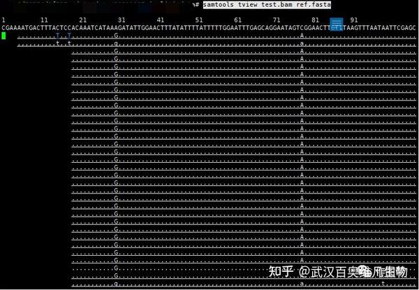 比对软件|Samtools - 知乎