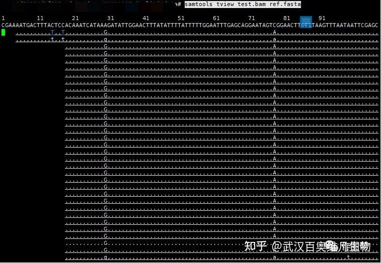 比对软件|Samtools - 知乎