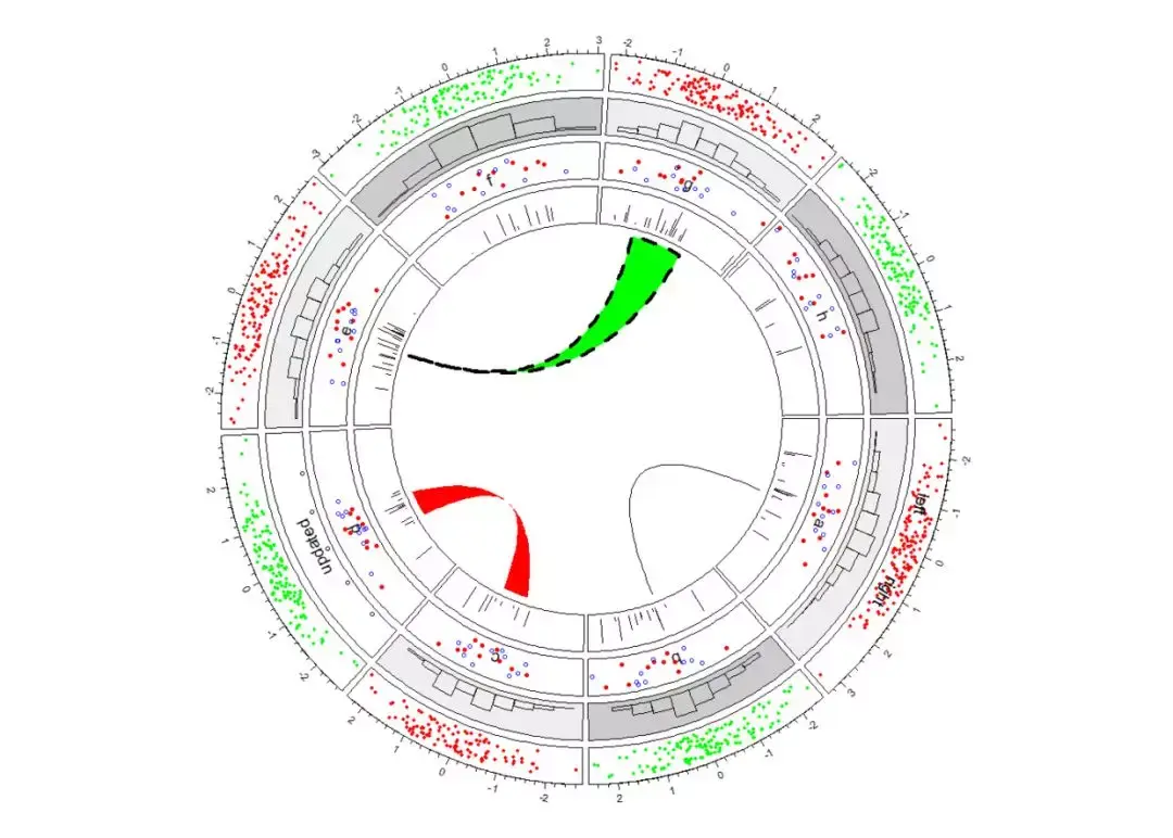 用circlize包绘制circos-plot - 知乎