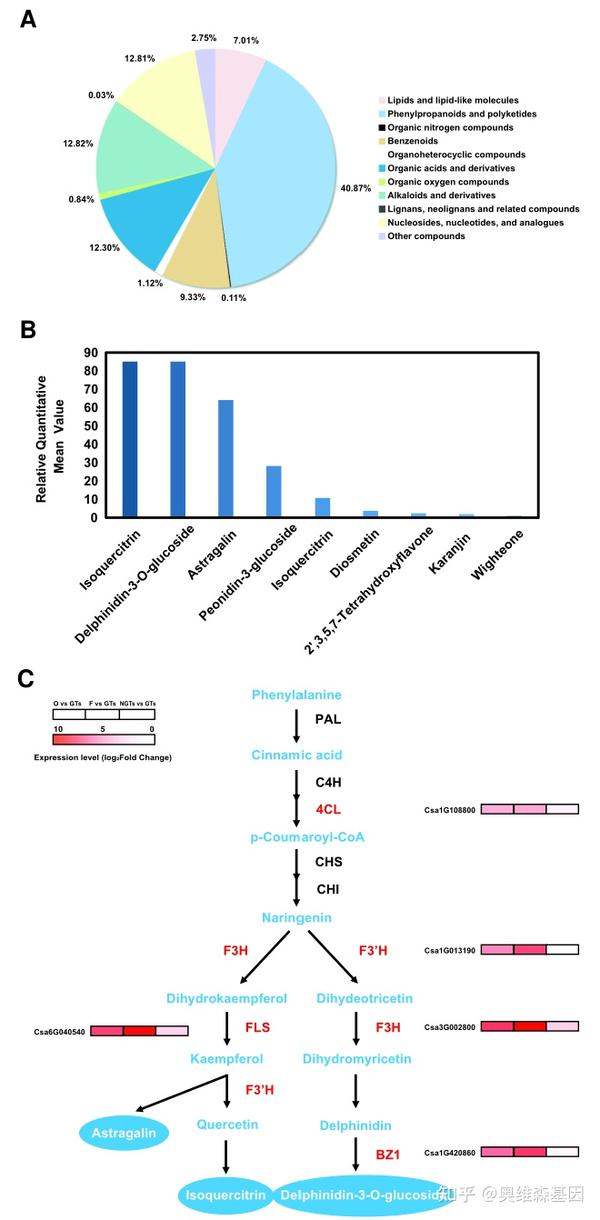 奥维森科技：多组学揭示黄瓜腺毛器官形成和类黄酮生物合成的新参与者 - 知乎