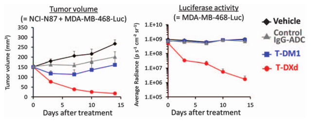 回顾“神药T-DXd（DS-8201）”的研发历程 - 知乎