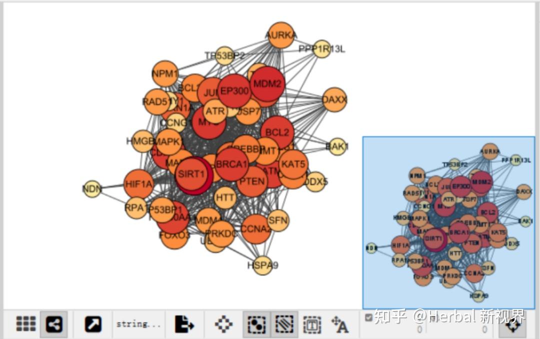 手把手教学｜String数据库与Cytoscape软件联合应用 - 知乎