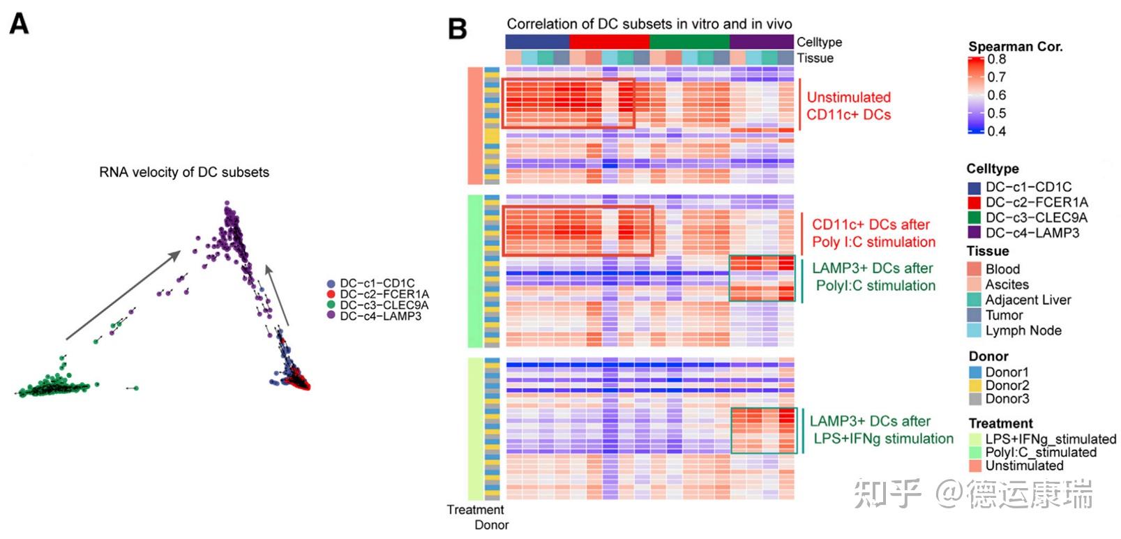 由静至动，单细胞测序告诉你“我是谁？我从哪里来？我到哪里去？” - 知乎