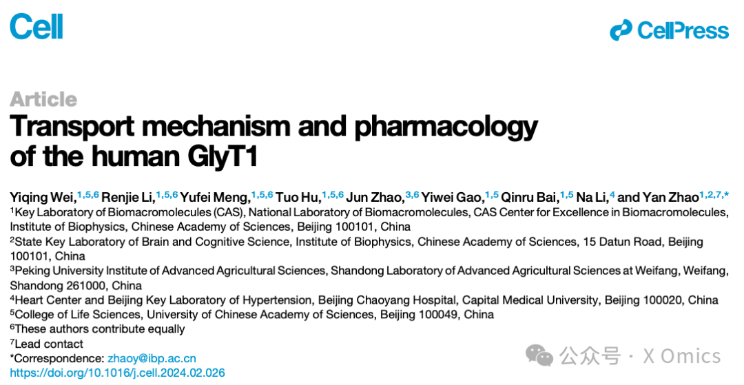 Cell｜GlyT1 的转运机制和药理学 - 知乎