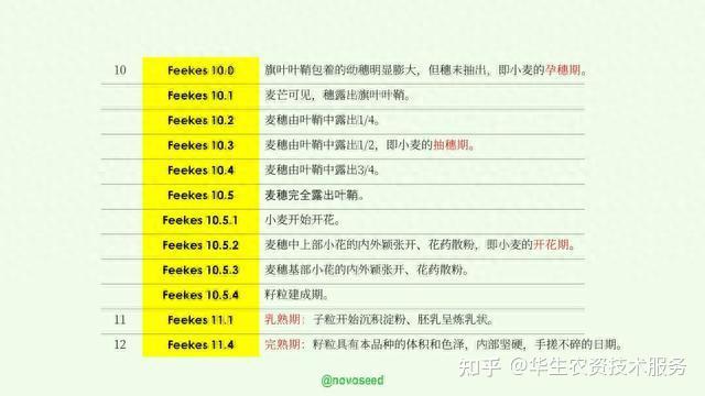 「注意」小麦全程周期，一生多磨难！田间管理最关键，建议收藏！ - 知乎