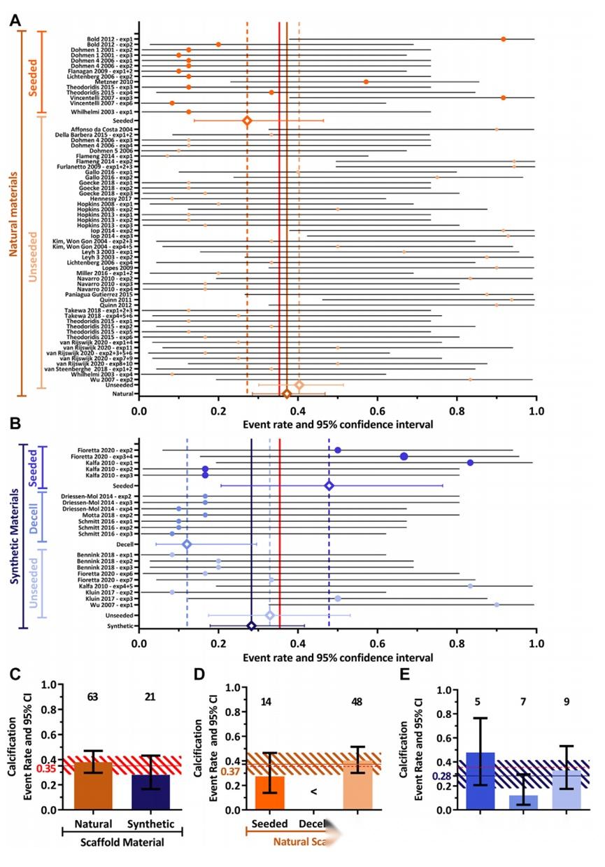 分享一篇9.7分的动物研究meta分析SCI - 知乎