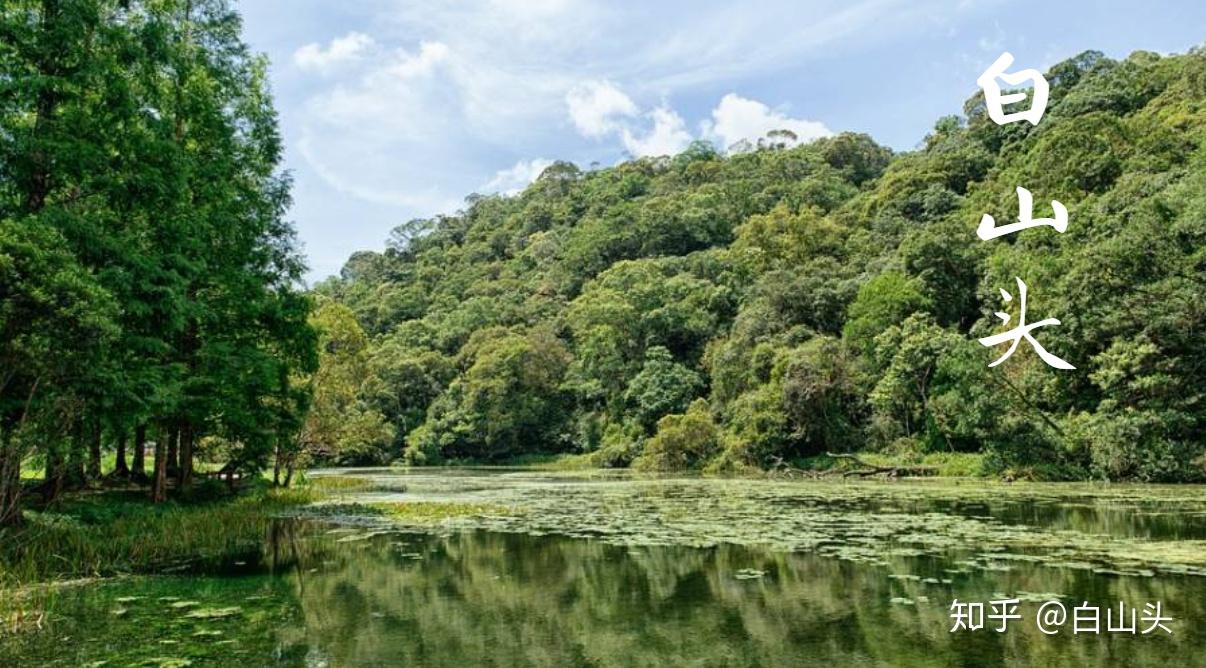 如何看懂congestion map - 知乎