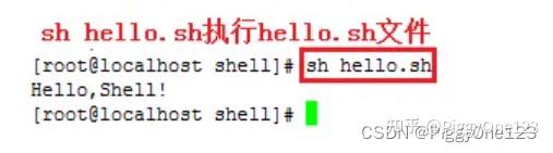 如何在linux系统中运行.sh文件(shell脚本),以一键部署nginx为例子 - 知乎