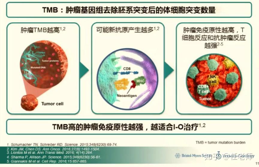 PDL-1，TMB，MSI 这些到底是什么？有什么意义？ - 知乎