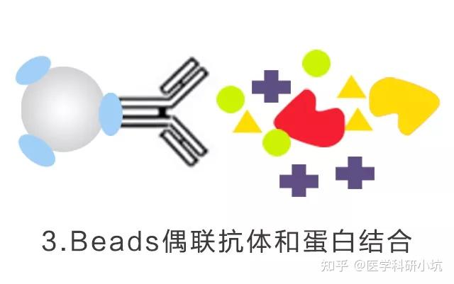 一文读懂CoIP实验 || 原理、实验流程、遇到的问题 - 知乎