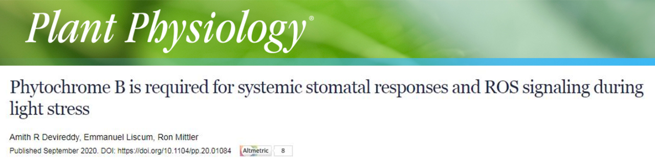 Plant Physiol | 光敏色素PhyB在植物光胁迫响应中的作用机制 - 知乎