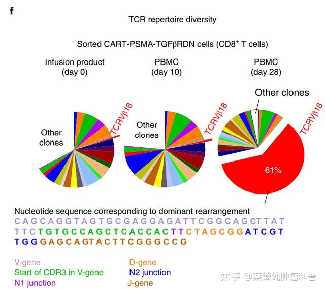 CAR-T细胞疗法研究进展（4） - 知乎