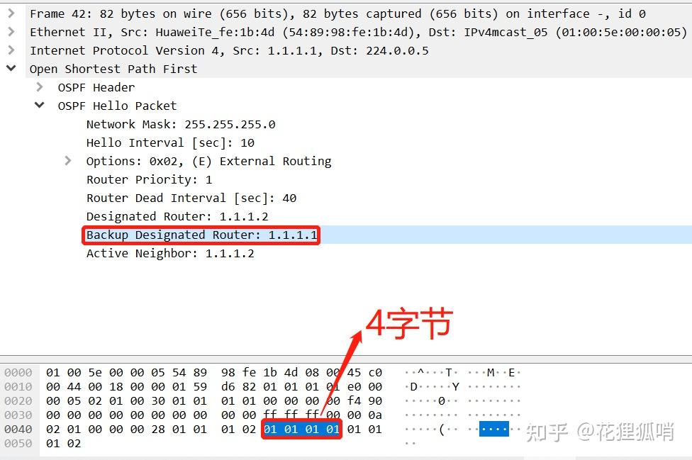 OSPF报文格式 - 知乎