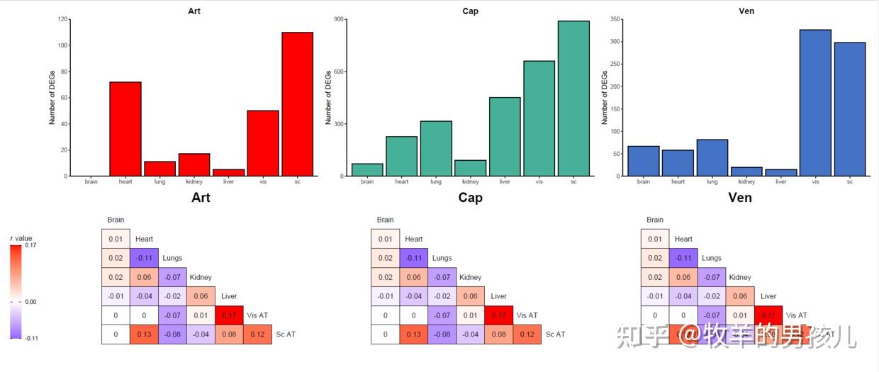 跟着Nature Metabolism学作图:R语言ggplot2柱形图和下三角热图完整示例 - 知乎