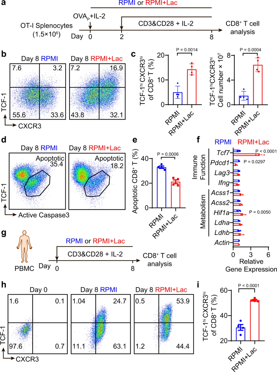 Nat Comm | 乳酸增加CD8 + T细胞的干细胞特性以增强抗肿瘤免疫力 - 知乎