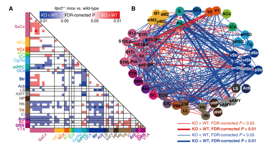 Science Advances：南方医科大学曹雄团队揭示星形胶质细胞调控大脑抑郁网络的作用机制 - 知乎