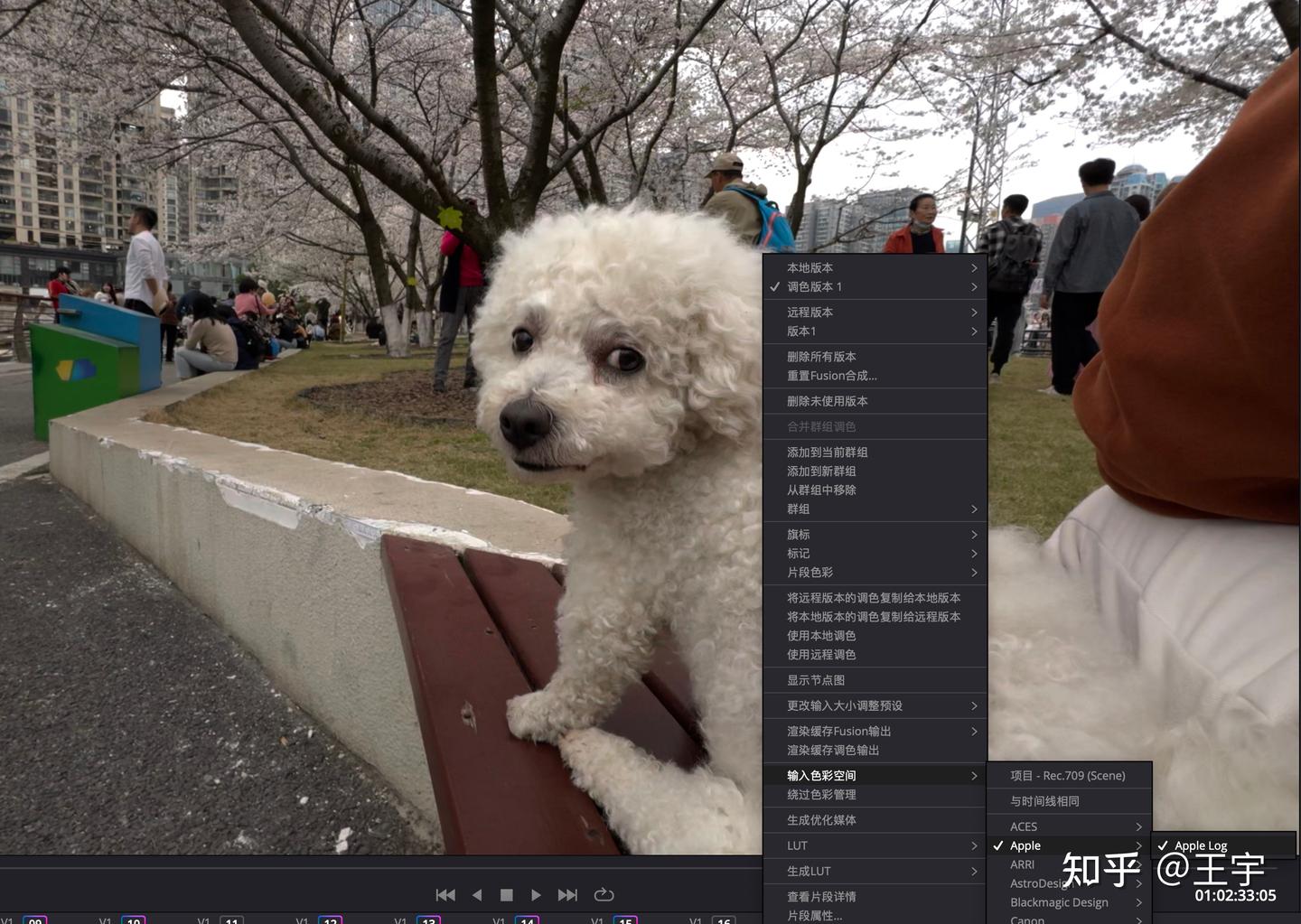 浅聊使用Apple Log拍摄时的色彩管理 - 知乎