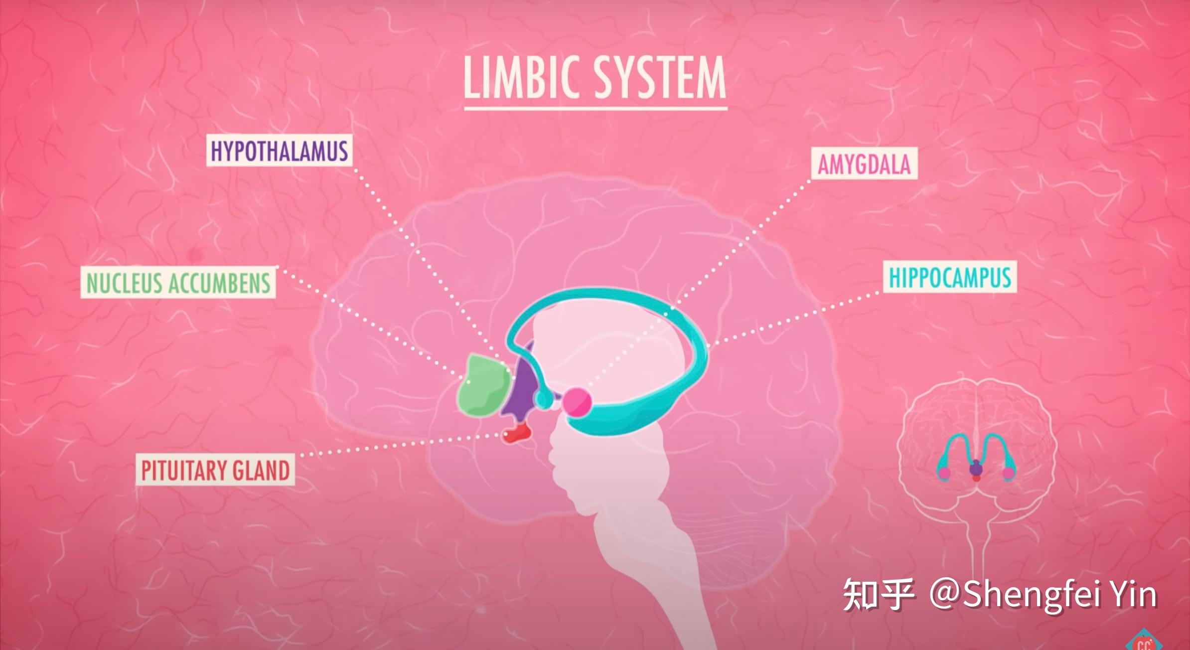 Eating & Body Dysmorphic Disorders - Crash Course Psychology #33 - 知乎