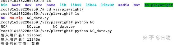 playwright docker部署 - 知乎