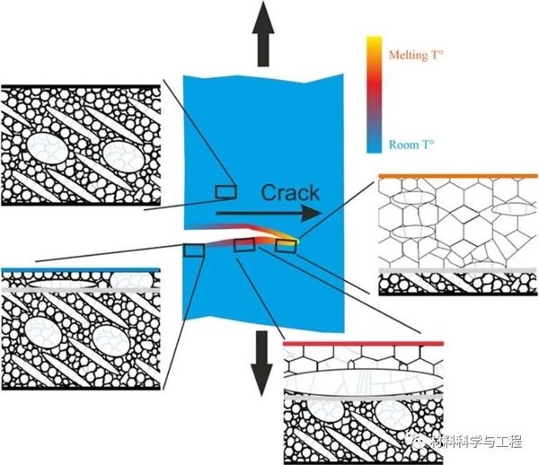 南工大《Acta Materialia》：揭示钛合金断裂动态再结晶及相变机制 - 知乎
