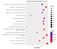 30+物种，100+Cell，菲沙基因Fiber-seq项目经验重磅发布 - 知乎