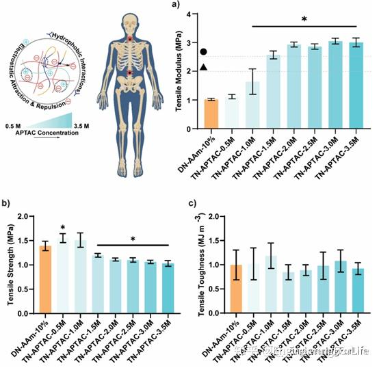 《Macromol. Biosci.》：疏水缔合协同静电相互作用构建具有超高模量的软骨替代水凝胶 - 知乎