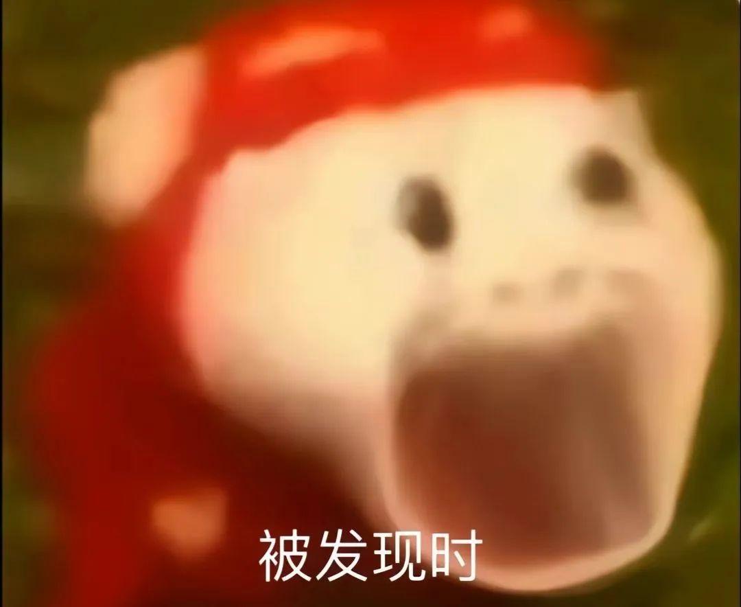 猪猪侠表情包合集丨几百张猪猪侠表情包、GG bond动态表情包 - 知乎