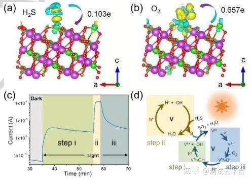 顶刊集锦：Nature子刊/Angew/EES/AM/AFM/NML等成果 - 知乎