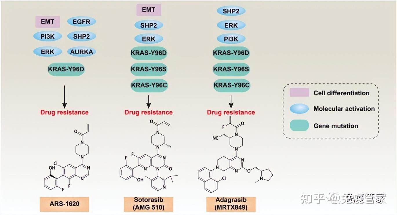 DCR达90.5%，IBI351 (KRAS G12C抑制剂)惠及肺癌、结肠癌患者 - 知乎