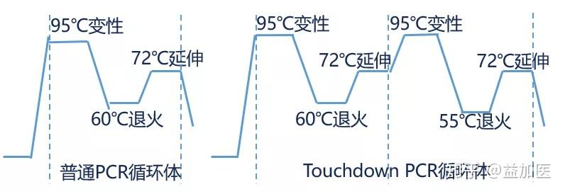 不容错过：分子生物博士权威解读8类PCR技术 - 知乎