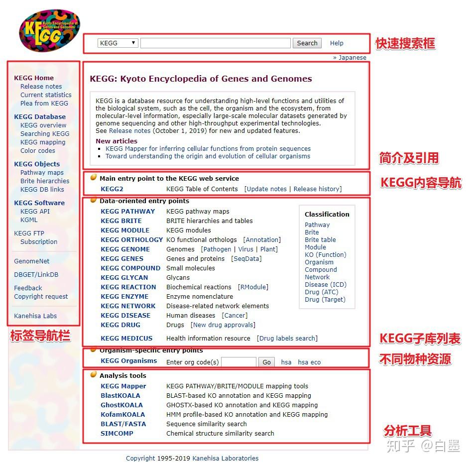 一文快速读懂 KEGG 数据库与通路图 - 知乎