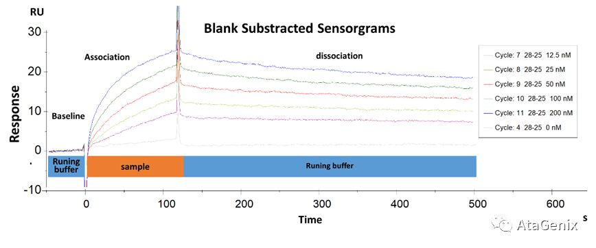 干货—Biacore分子间相互作用在科研中的应用最全汇总 - 知乎