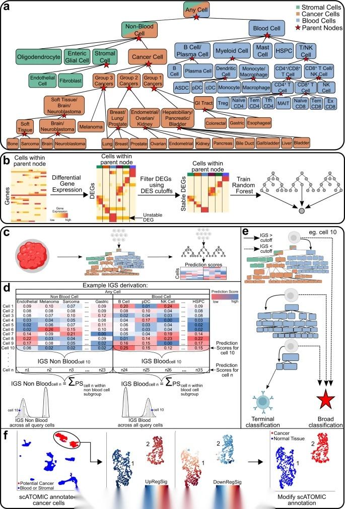 Nat Commun | 泛癌TME单细胞注释新工具——scATOMIC，可准确预测转移性肿瘤的原发组织 - 知乎