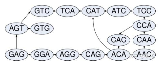 [算法学习 1] 基因组组装算法 De Bruijn Graph - 知乎