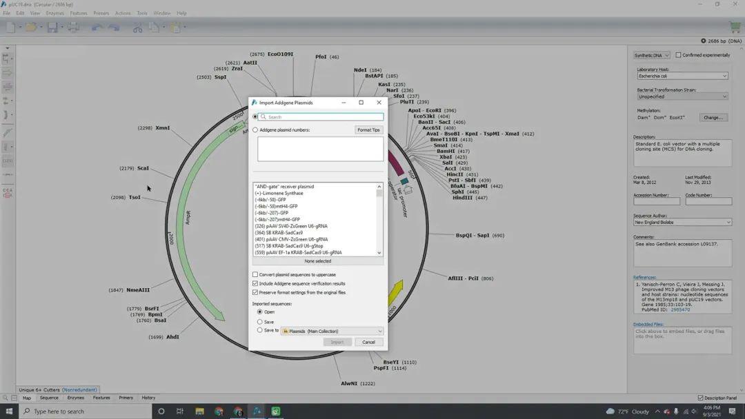 SnapGene 初学者指南 | 如何创建、打开、导入文件 - 知乎
