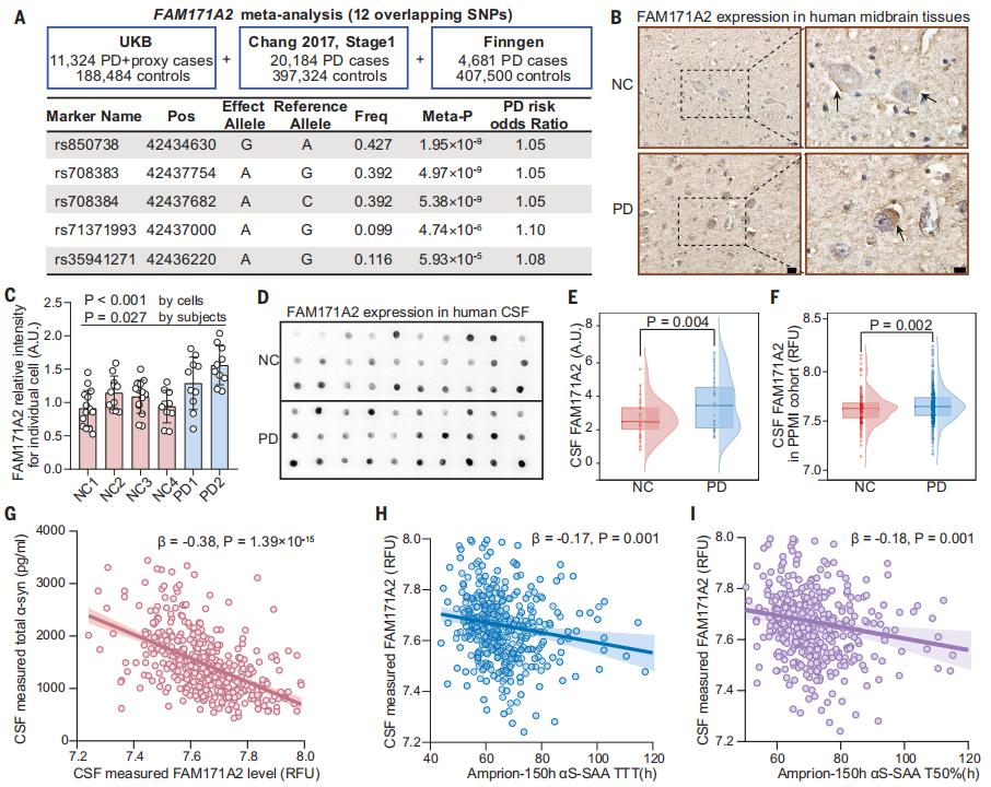 Science│南模生物助力发现帕金森病全新治疗靶点FAM171A2 - 知乎