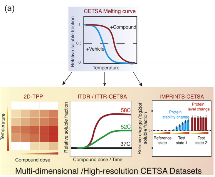 Cellular Thermal Shift Assay CETSA Cellular Thermal Shift Assay CETSA