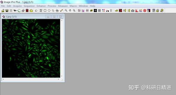 还在慢吞吞处理图片？学会用IPP批量处理和测量图片 - 知乎