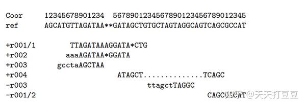 SAM|BAM文件格式解析 - 知乎