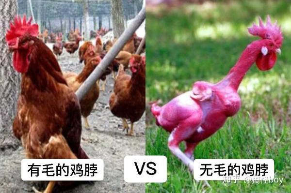 男生身上有毛怎么刮？特别是阴毛？ 知乎