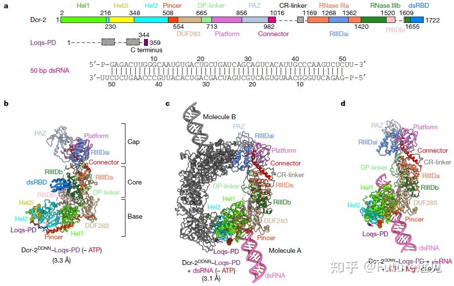 1天段镶锋、麻锦彪、何胜洋等团队发表6篇Nature - 知乎