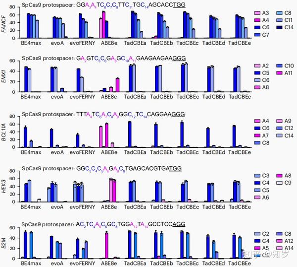 Nature Biotechnology|将腺嘌呤碱基编辑器（ABE）优化成具有低脱靶活性的小型高效胞嘧啶碱基编辑器（CBE） - 知乎