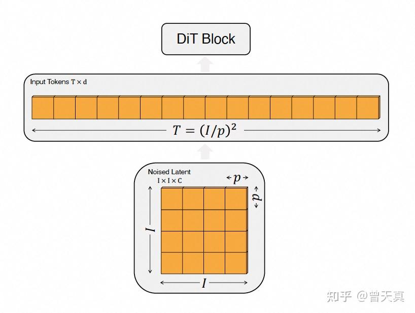 DiT：从理论到实践，万字长文深入浅出带你学习Diffusion Transformer - 知乎