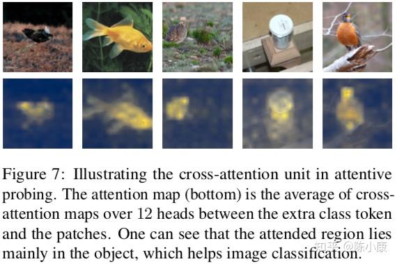 [IJCV 2023] Context Autoencoder (CAE)：为什么 MIM 方法比 Contrastive Learning 更适合下游任务？ - 知乎