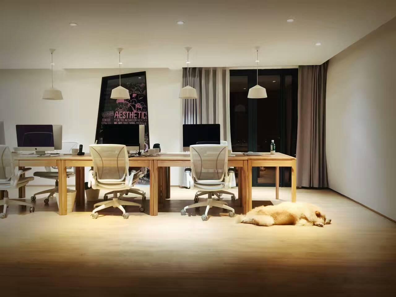 Humanscale World Chair 实用评测 - 知乎