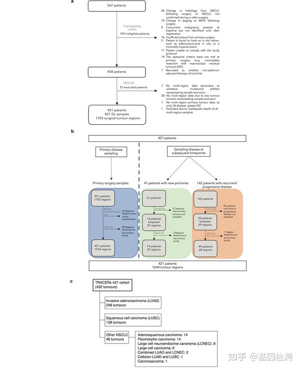 肺癌的进化及TRACERx亚克隆选择的影响 - 知乎