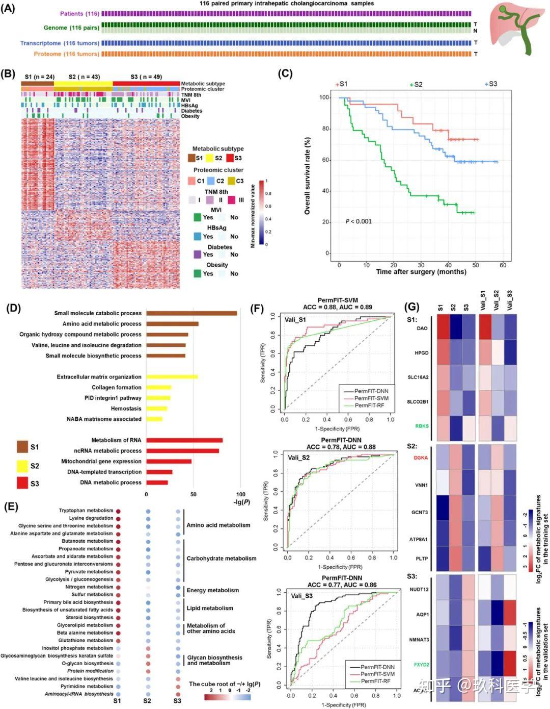 复旦大学中山医院：多组学分析揭示了肝内胆管癌代谢亚型并确定二酰甘油激酶α（DGKA）是潜在治疗靶点（国人佳作） - 知乎