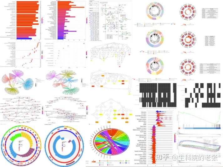 最全的GO, KEGG, GSEA分析教程(R),你要的高端可视化都在这啦！[包含富集圈图] - 知乎
